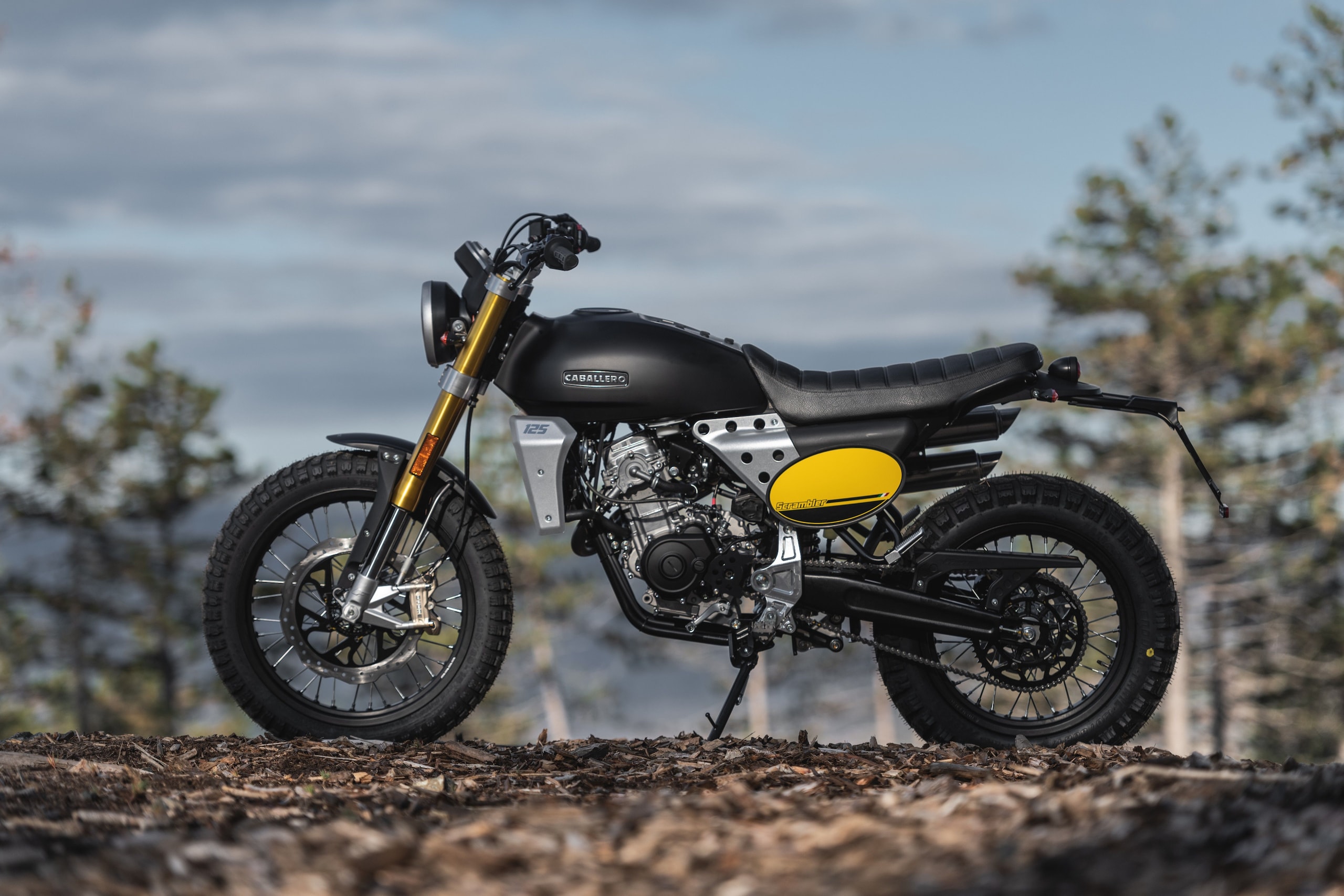 Fantic Motor Caballero 125 Scrambler: prezzo, velocità, scheda e ...