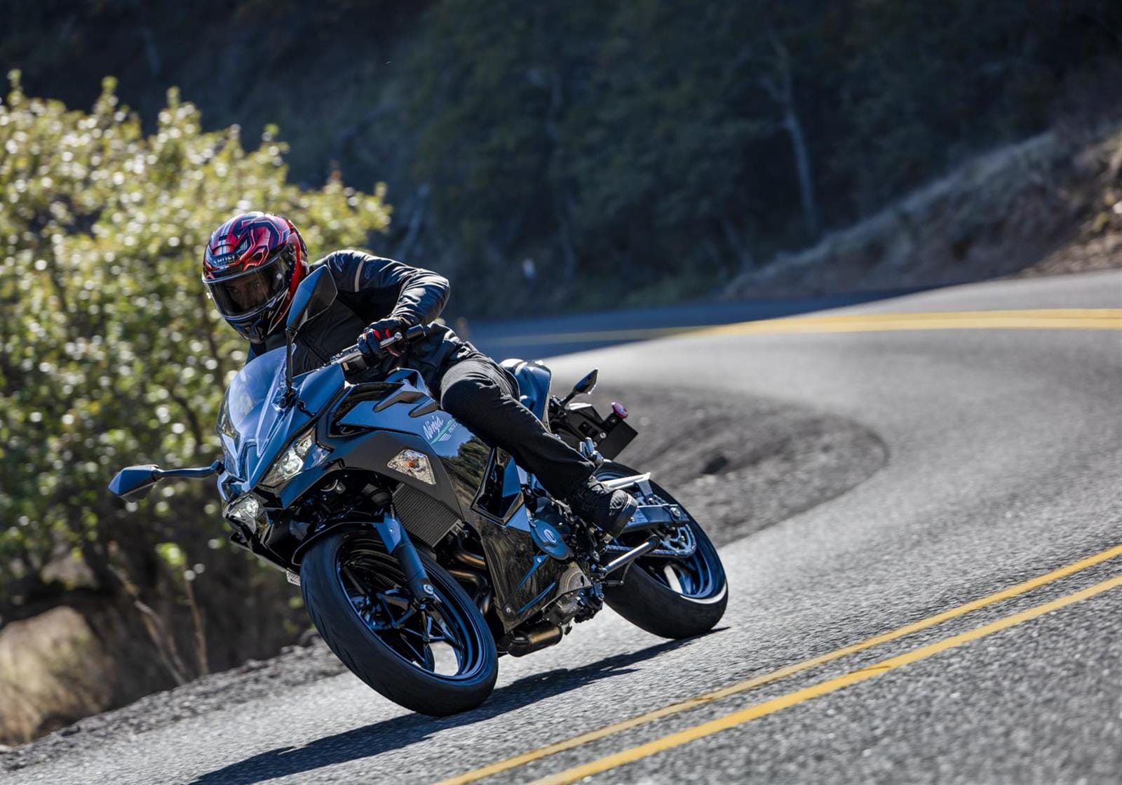 Kawasaki Ninja 500: prezzo, velocità, scheda e rilevamenti